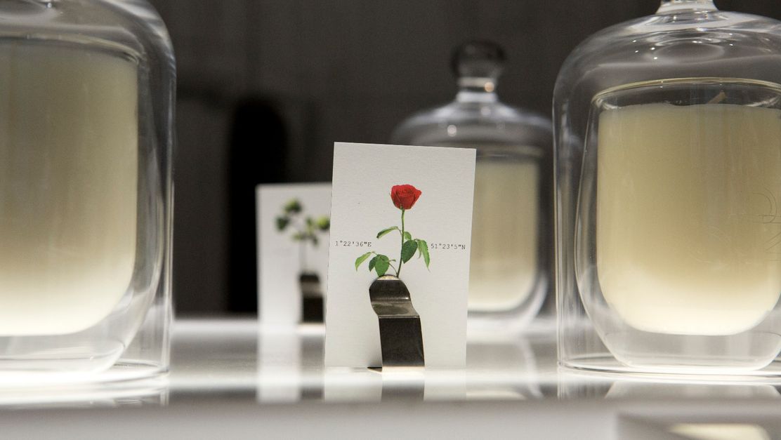 LSN : News : Preview: Haeckels