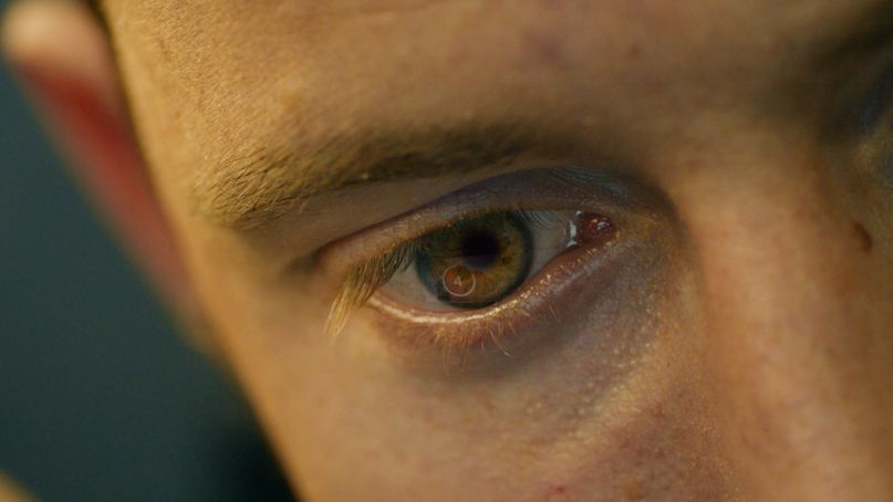 LSN : News : Creative campaigns