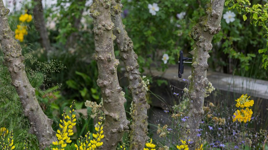 avanade intelligent garden