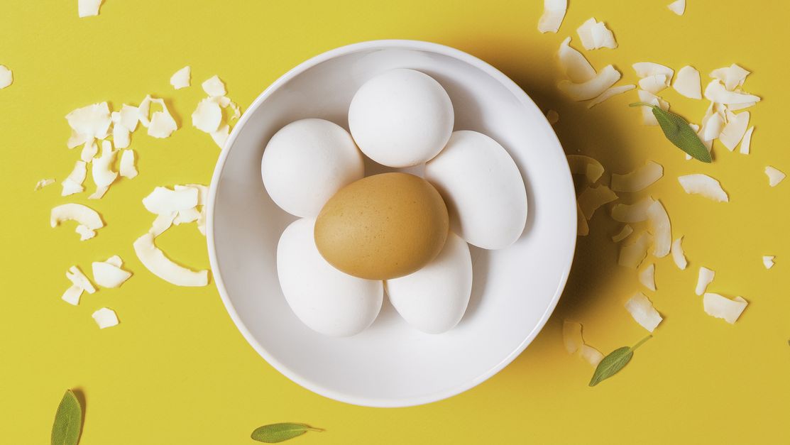 LSN : News : Thought-starter: What’s next for plant protein?