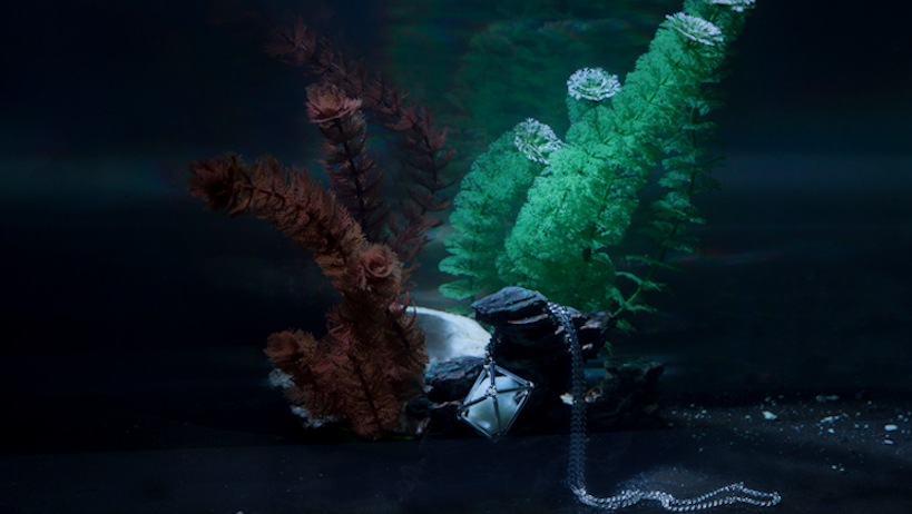 LSN : Design Directions : Submerged