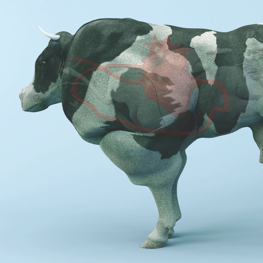 LSN : News : 01 : 11 : 22