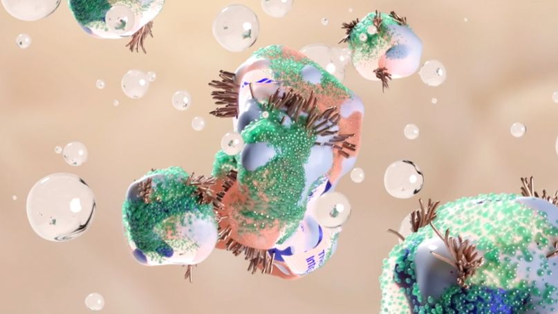 LSN : Daily Signals : IAM Weekend 2020 to spotlight the climate emergency